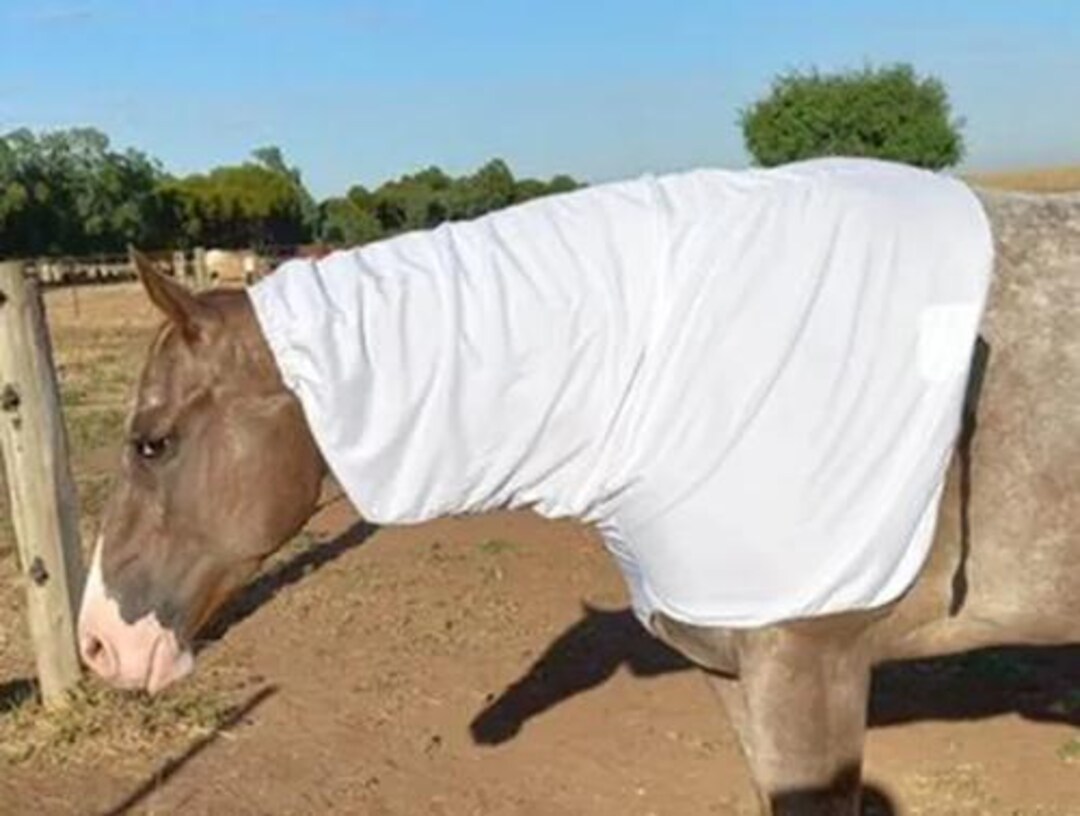 Horse Neck Rug Mane Saver Kool Tube All Year Protection Australian Made ...