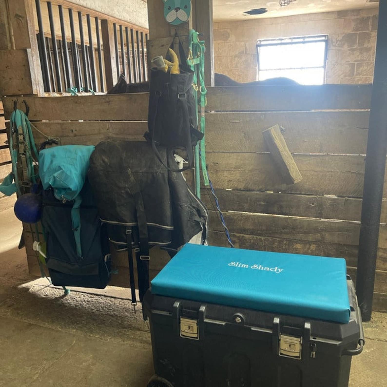 Cushioned Tack Trunk Topper - Etsy