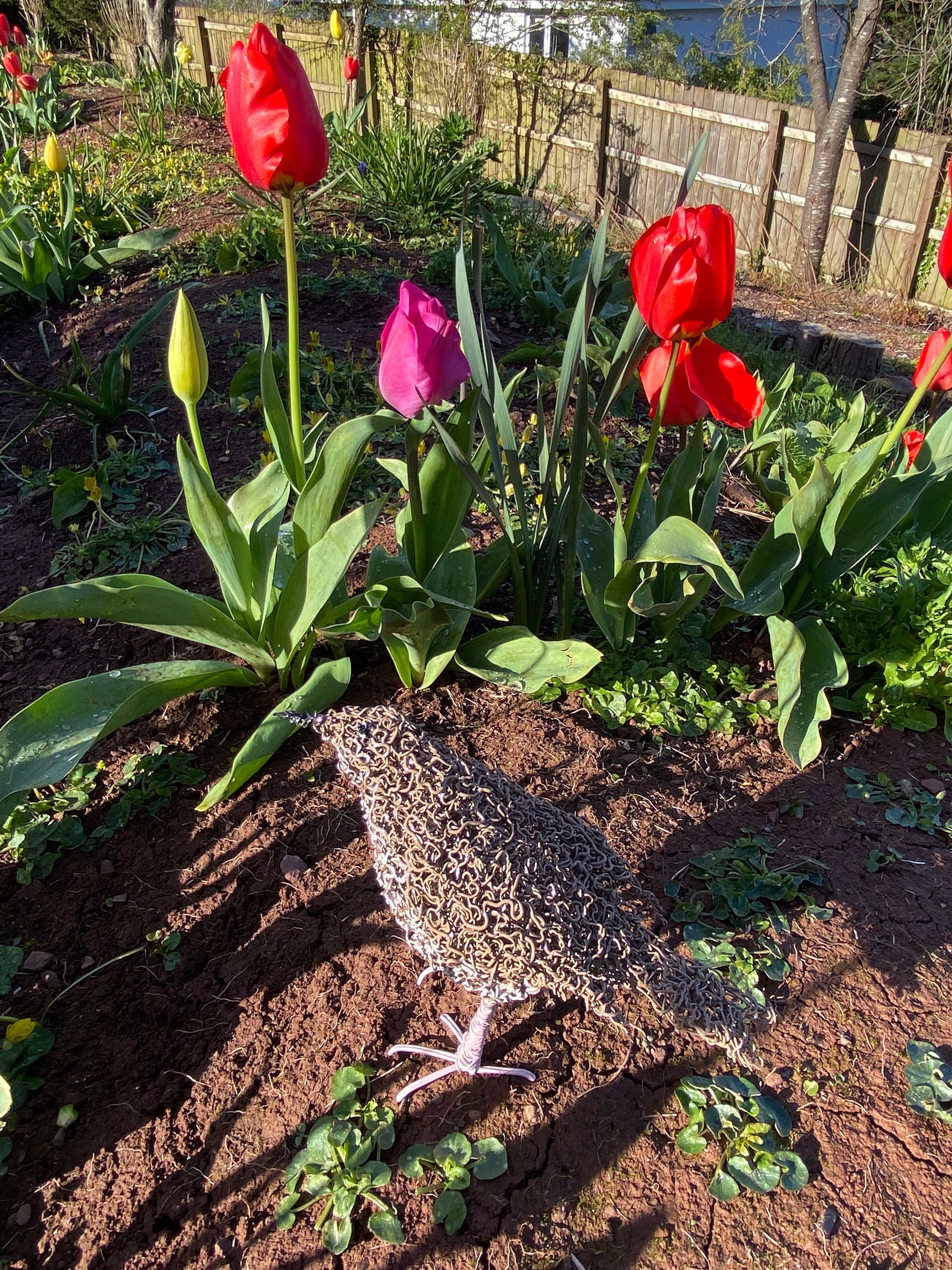 Thrush Wire Sculpture. Wire Art. Thrush. Bird Sculpture. - Etsy UK