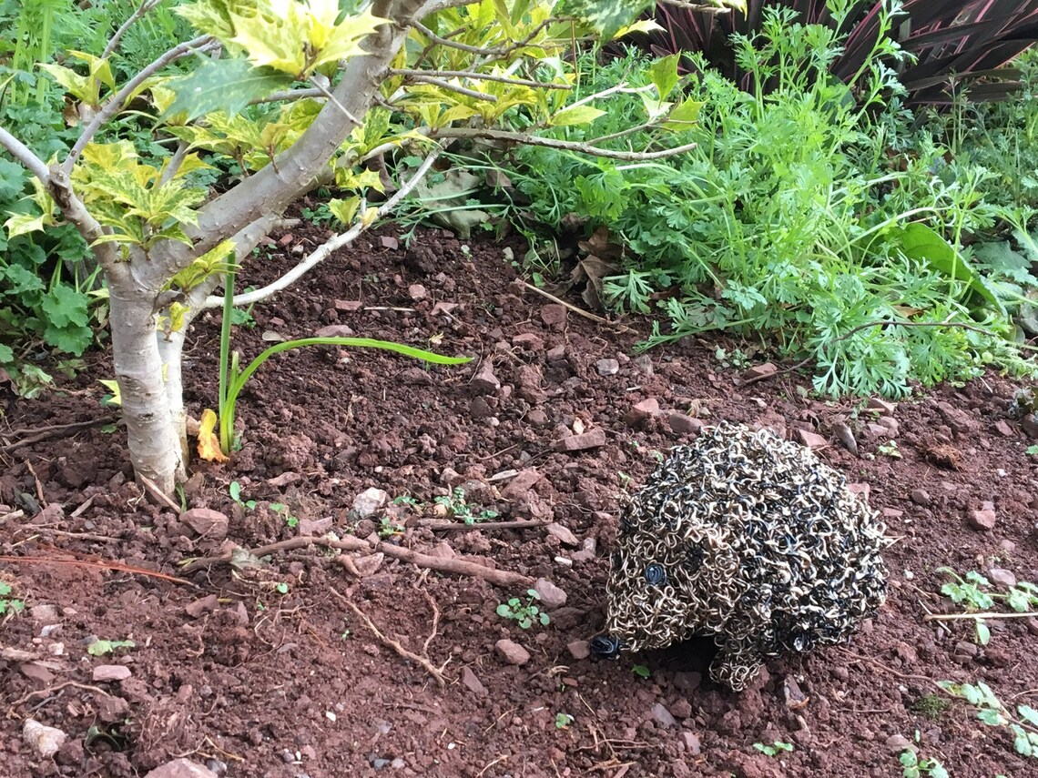 Hedgehog Wire Sculpture. Metal Garden Sculpture. Garden. - Etsy