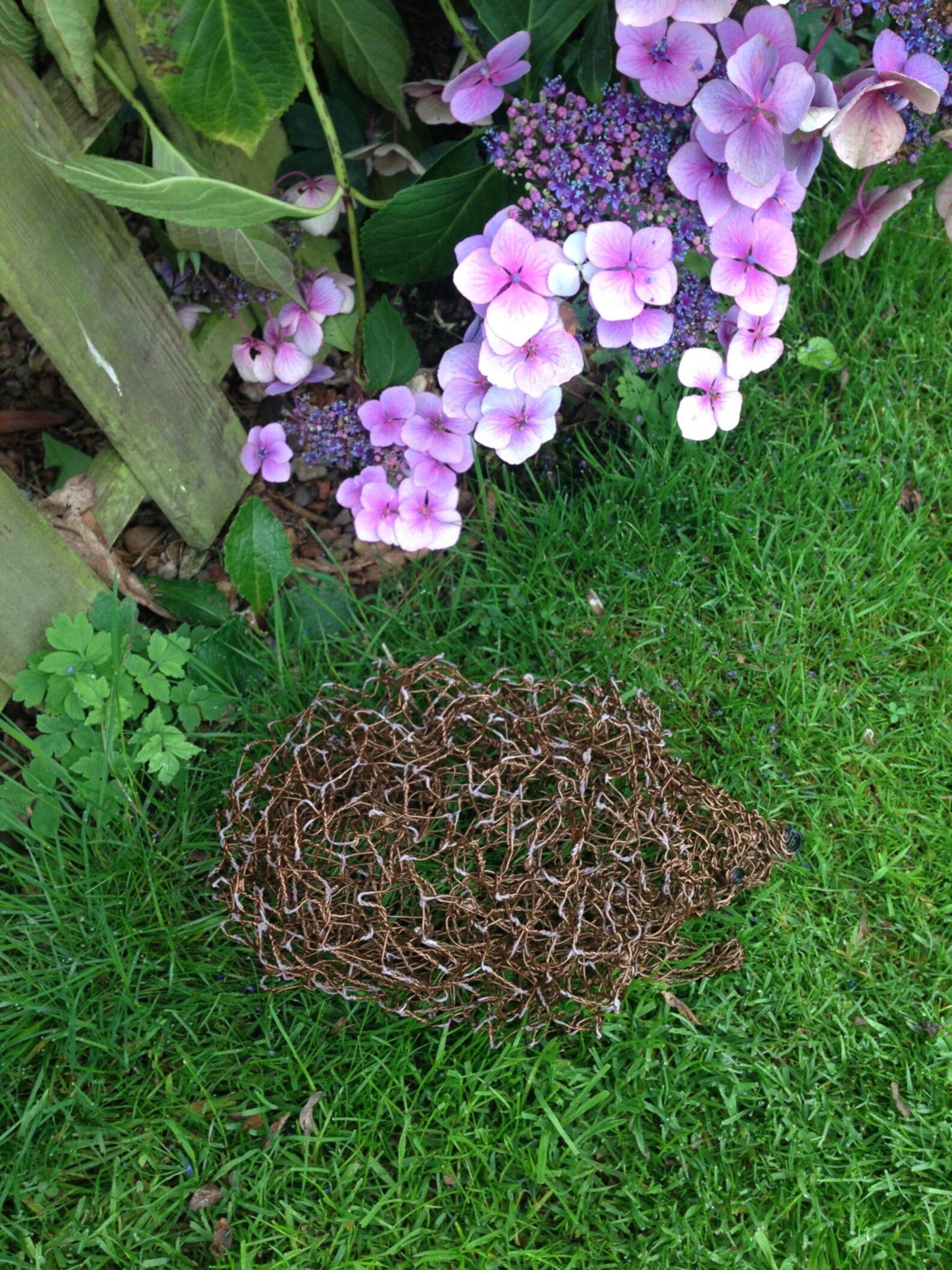 Hedgehog Wire Sculpture. Metal Garden Sculpture. Garden. - Etsy