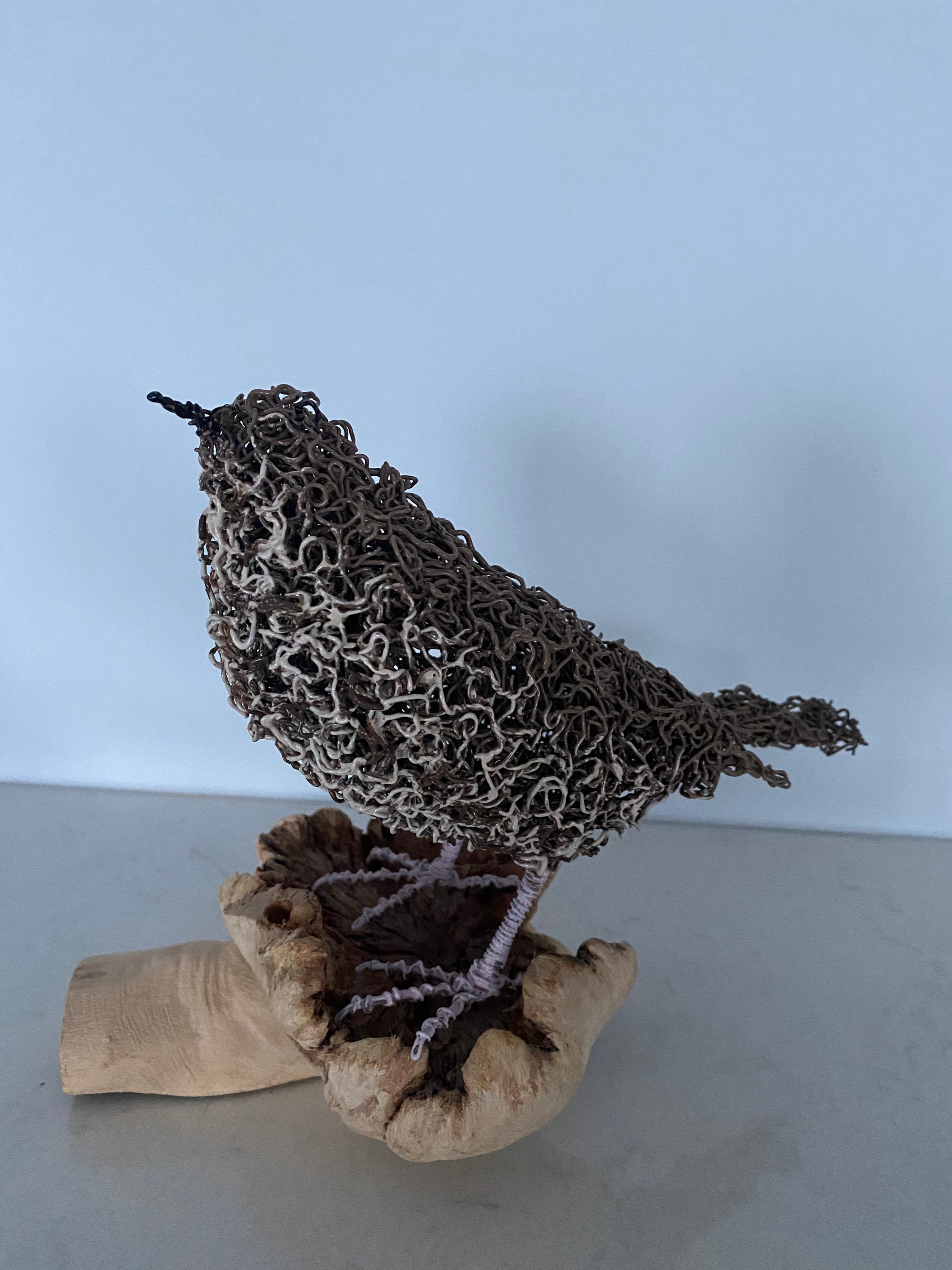 Thrush Wire Sculpture. Wire Art. Thrush. Bird Sculpture. - Etsy UK