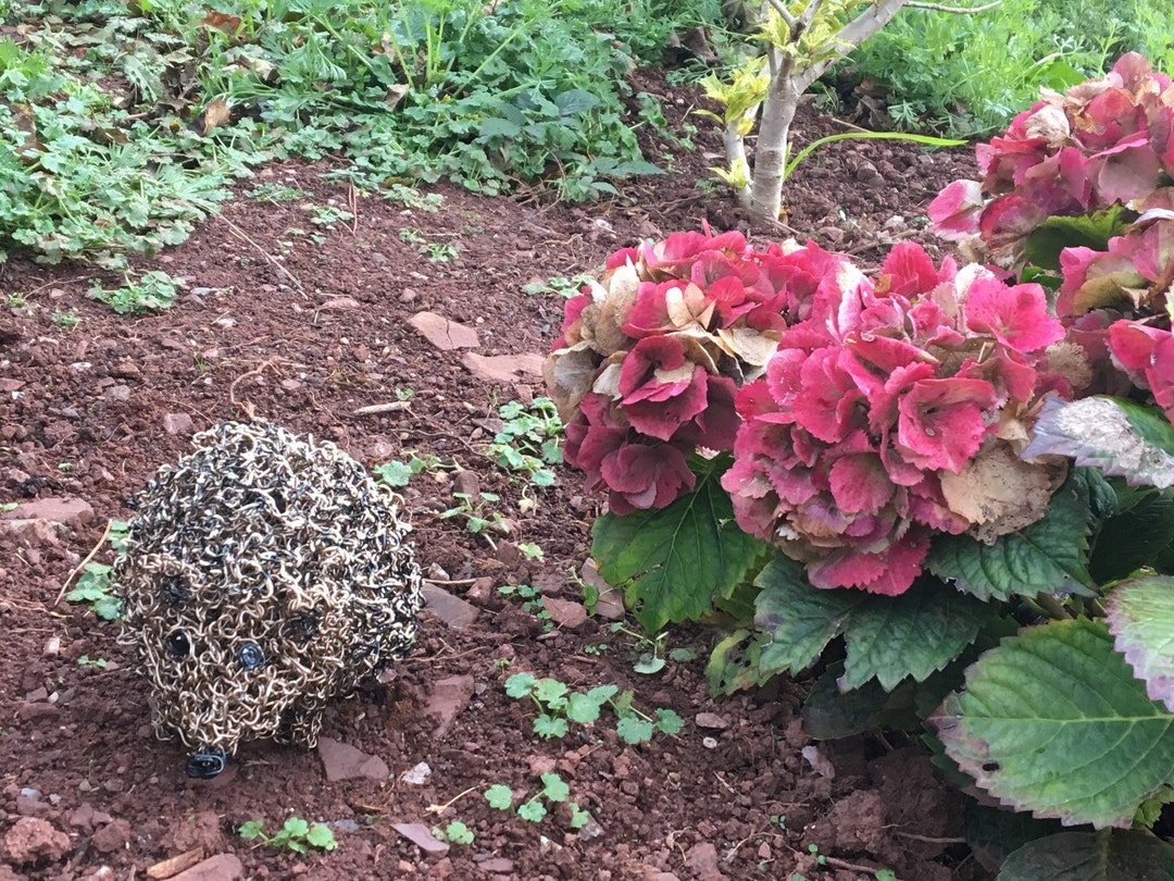 Hedgehog Wire Sculpture. Metal Garden Sculpture. Garden. Garden Decor ...