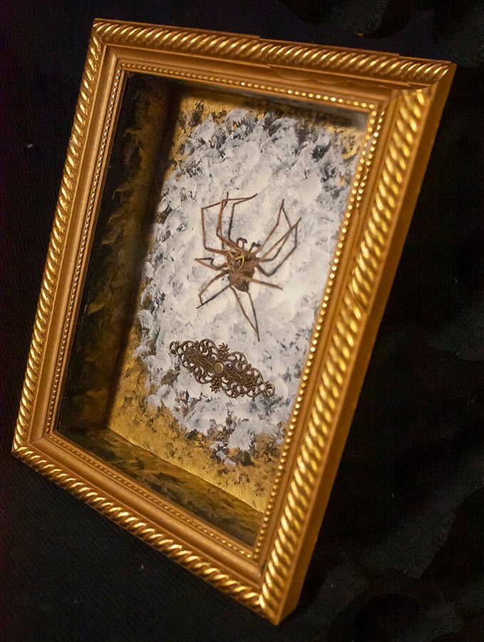 Steampunk SPIDER Shadowbox, Steampunk Décor, Insect Taxidermy - Etsy