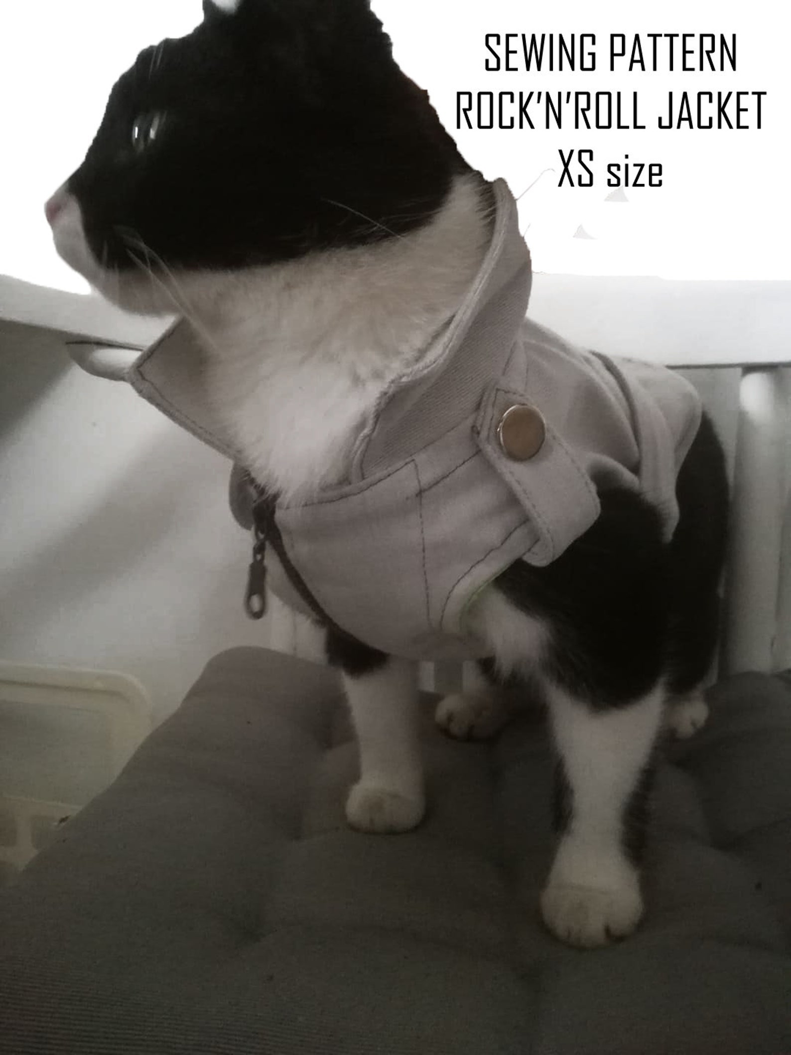 Extra Small Dog's Jacket Sewing Pattern Cat Clothes | Etsy