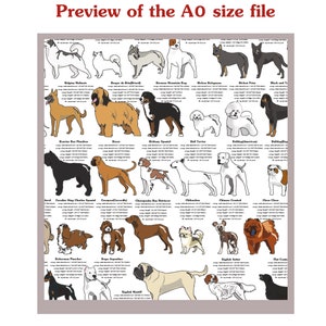 Illustrated Dog Breed Size Guide: 110 Breeds Chart (A0, A4, Letter PDF ...
