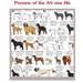 Illustrated Dog Breed Size Guide: 110 Breeds Chart (A0, A4, Letter PDF ...