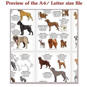 Illustrated Dog Breed Size Guide: 110 Breeds Chart (A0, A4, Letter PDF ...