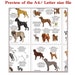 Illustrated Dog Breed Size Guide: 110 Breeds Chart (A0, A4, Letter PDF ...