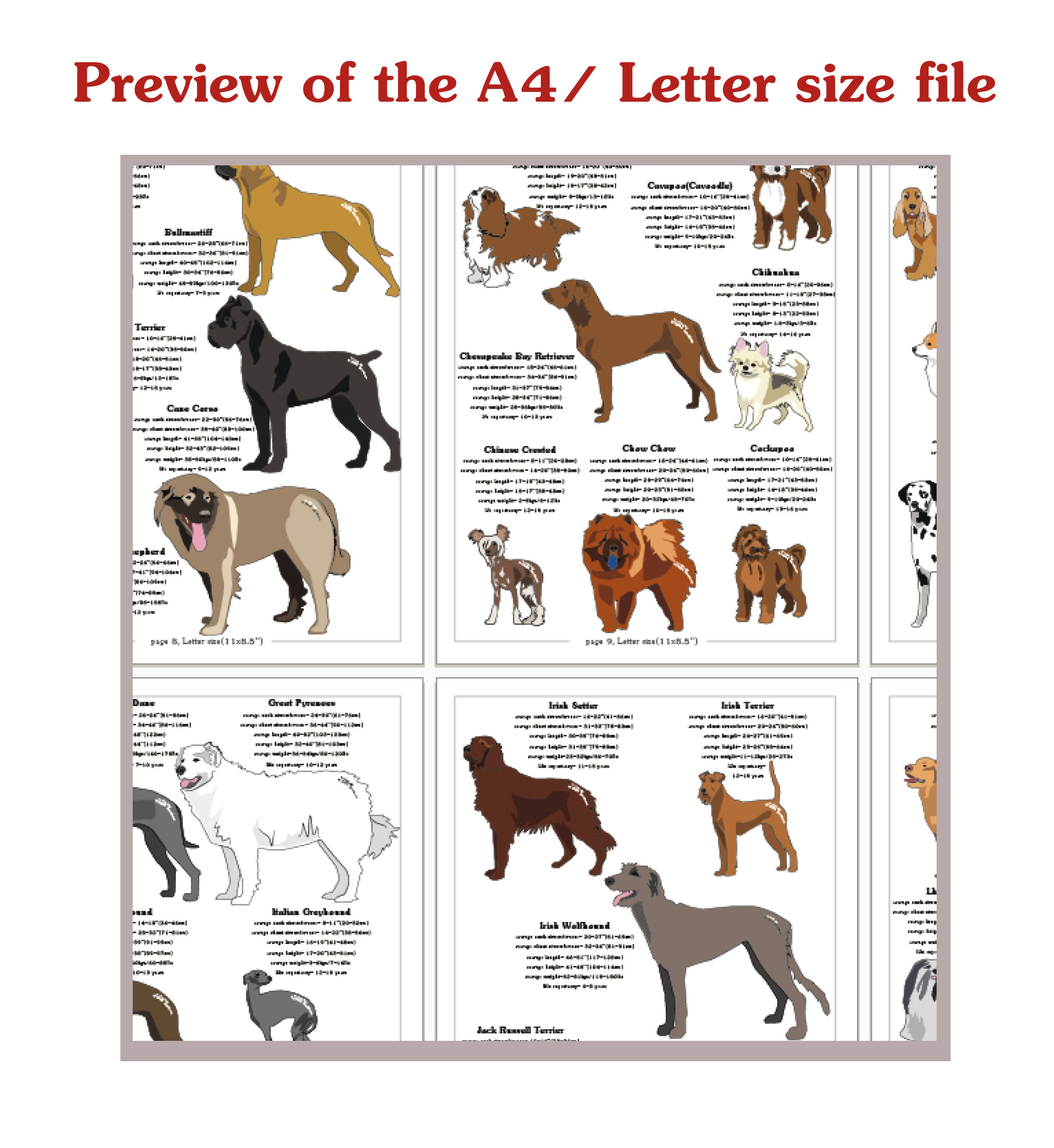 Illustrated Dog Breed Size Guide: 110 Breeds Chart (A0, A4, Letter PDF ...
