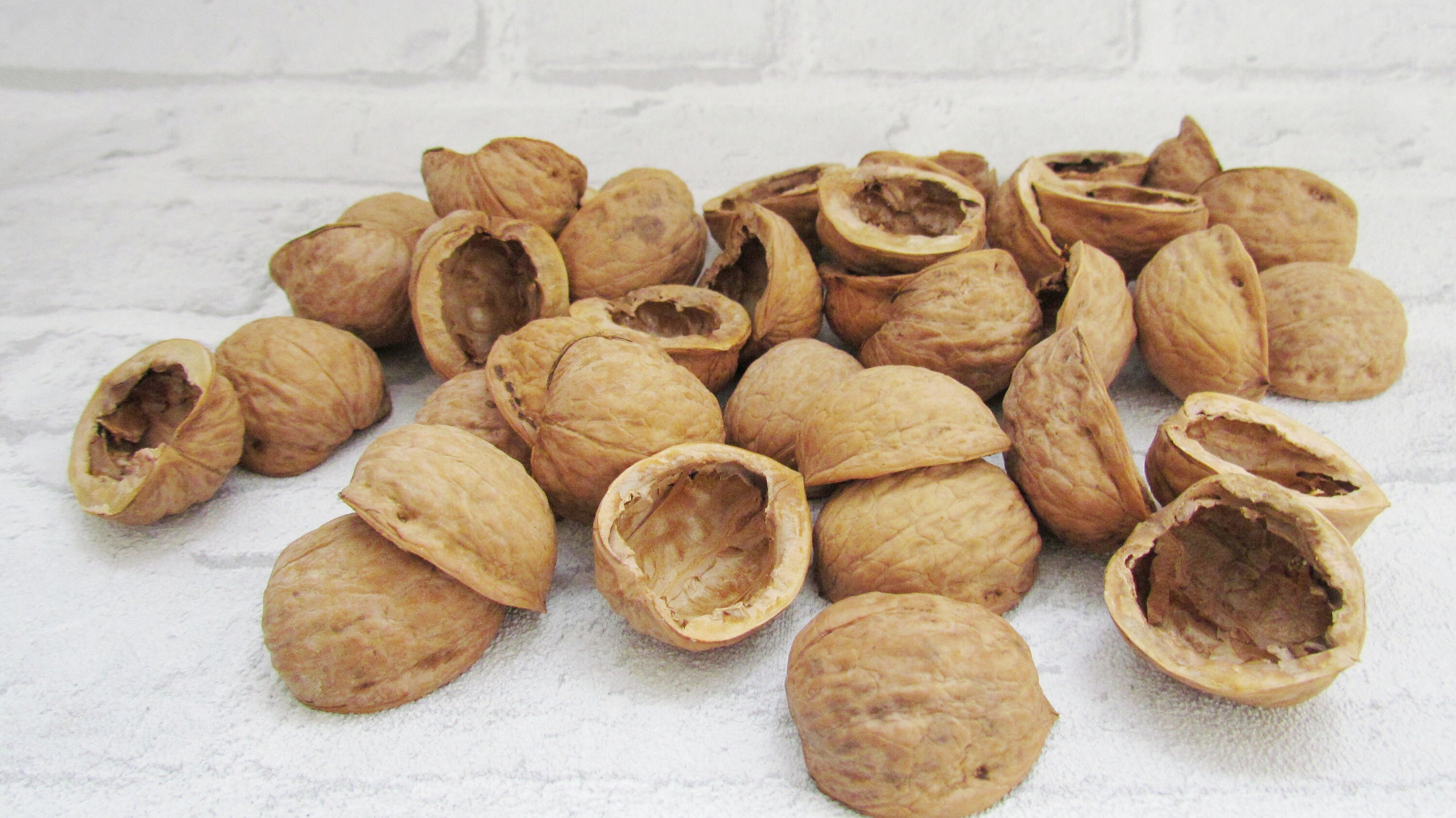 Natural Walnut Shell Walnut Halves Natural Christmas Ornament - Etsy