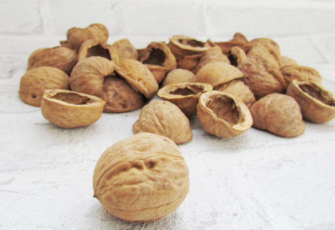 Natural Walnut Shell Walnut Halves Natural Christmas Ornament - Etsy