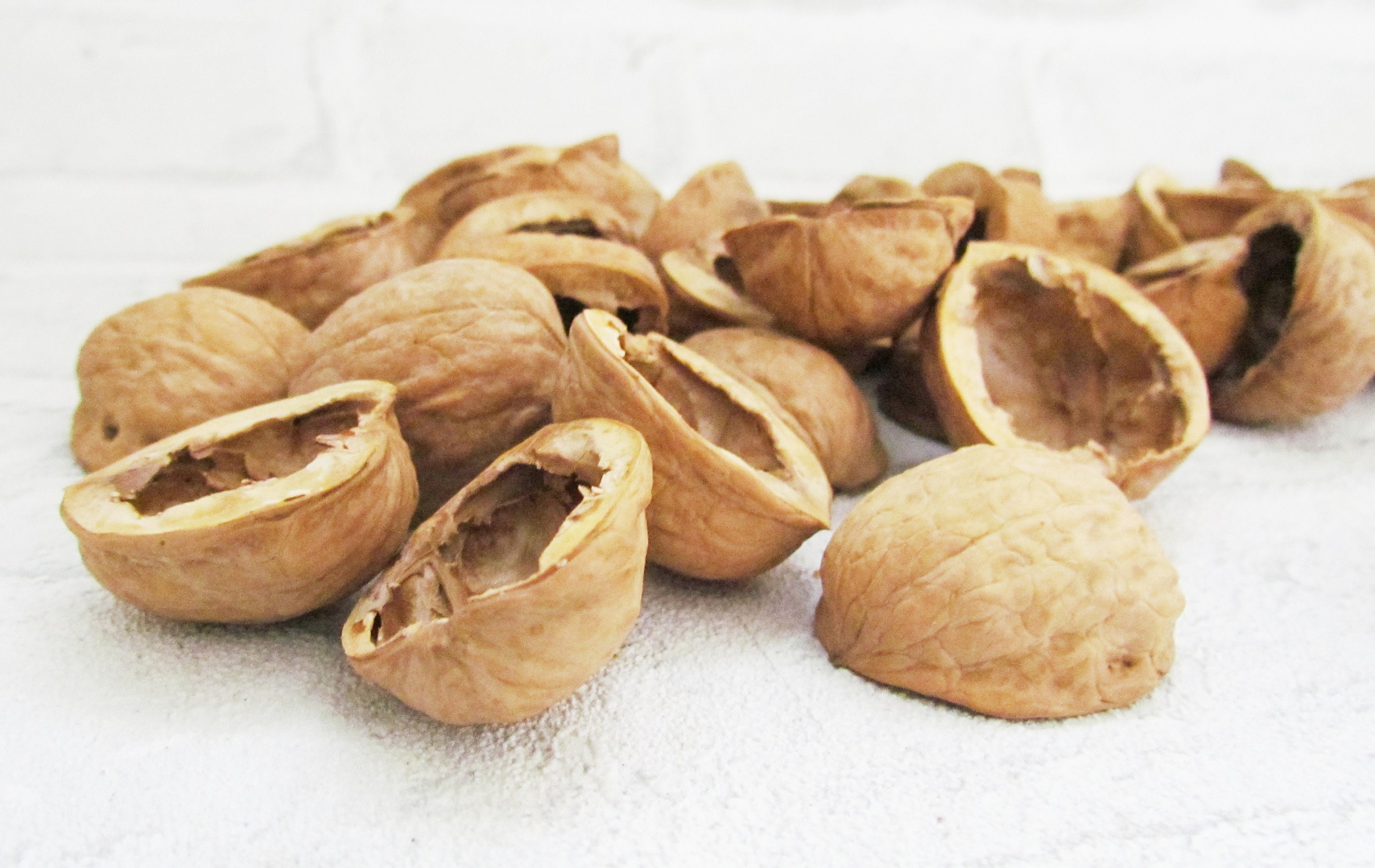 Natural Walnut Shell Walnut Halves Natural Christmas Ornament - Etsy