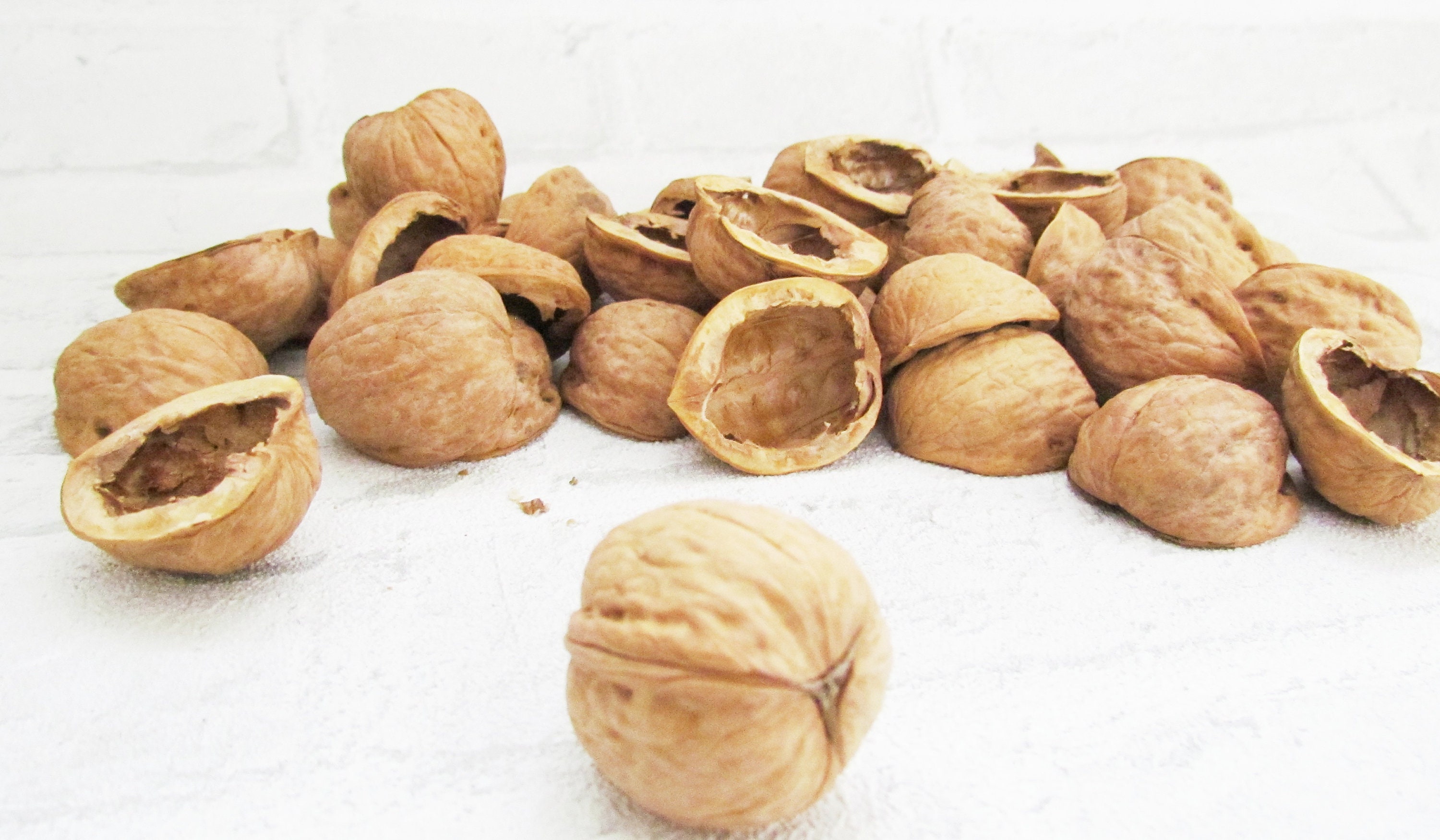Natural Walnut Shell Walnut Halves Natural Christmas Ornament Light ...