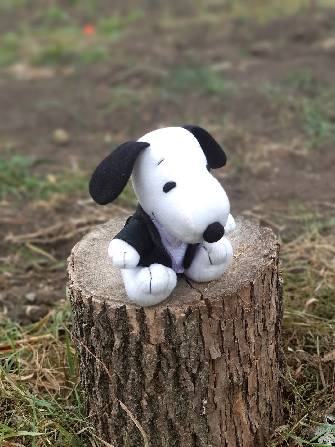 Stuffed Peanuts Snoopy Plush Toys 6 Dog Plush Toys - Etsy