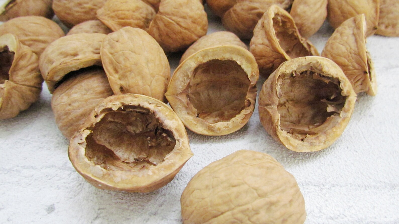 Natural Walnut Shell Walnut Halves Natural Christmas Ornament - Etsy