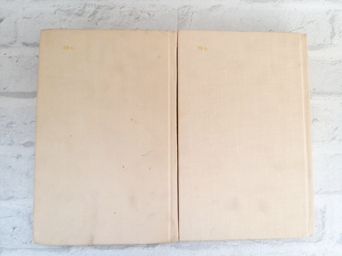 Book vintage novel Classic Book Russian writer classics | Etsy