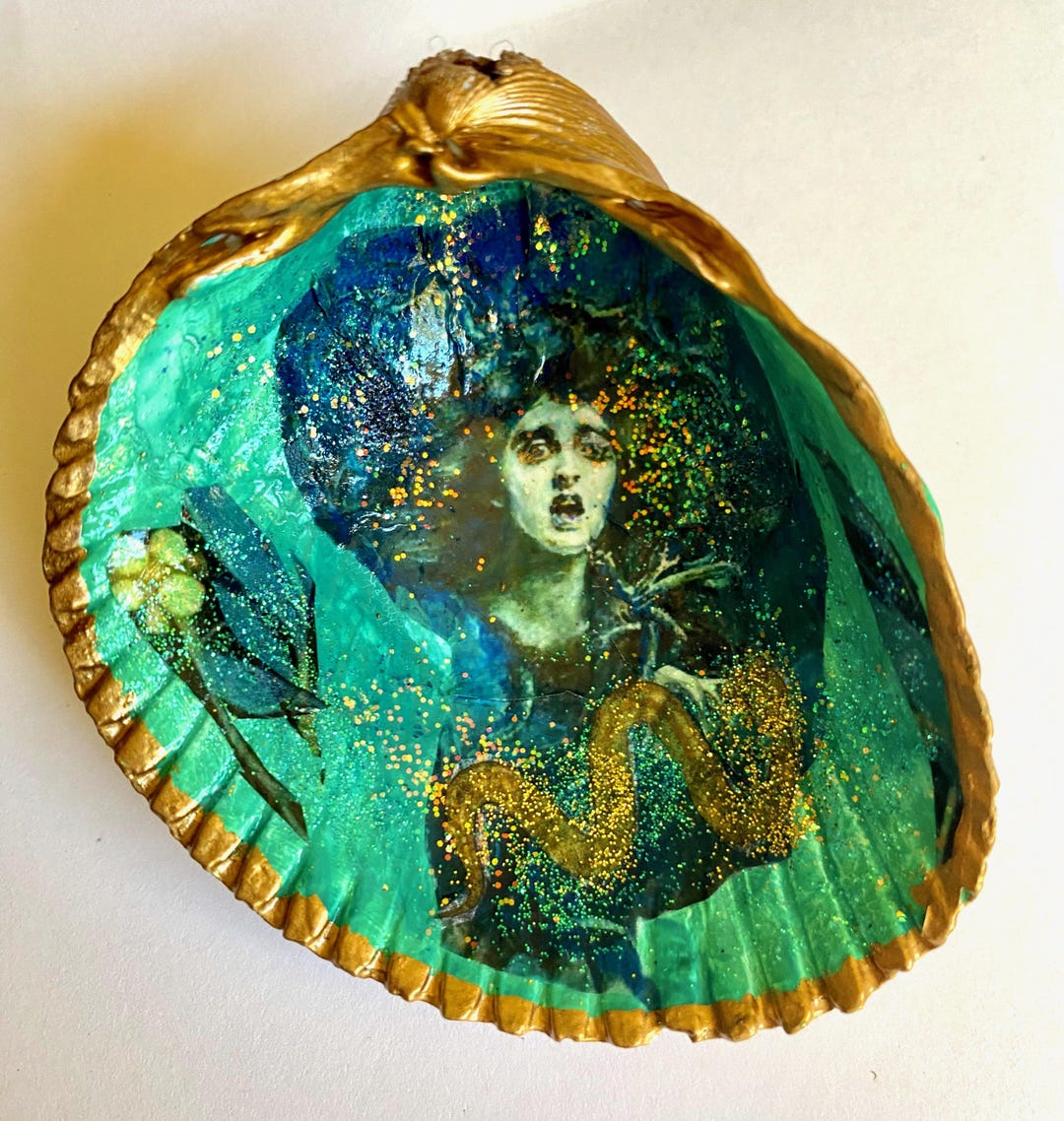 Medusa Cockle Shell, Jewelry Dish, Trinket Dish, Ring Dish, Friend ...