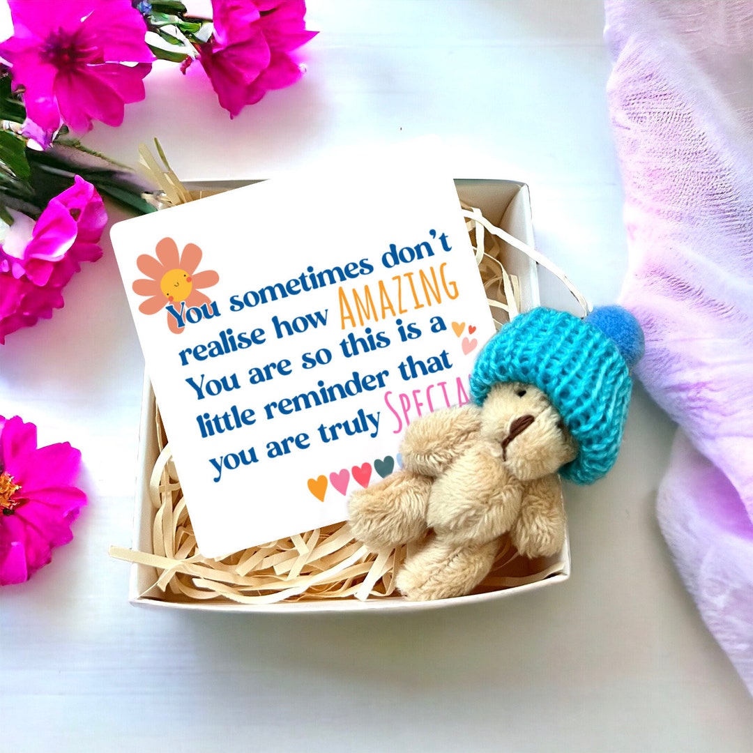 Pocket Hug Bear With Poem Card: Positivity Gift - Tiny Teddy ...