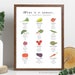 Illustrated PNW Produce Calendar Guide to Local Produce What's in ...