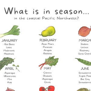 Illustrated PNW Produce Calendar | Guide to Local Produce | What's in ...