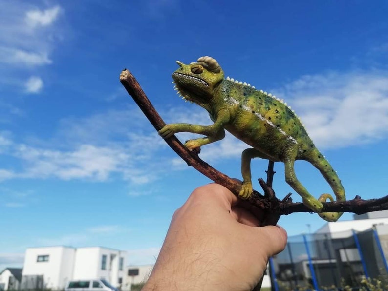 Chameleon realistic | Etsy