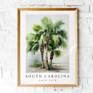 Sabal Palm, the State Tree of South Carolina, Poster Print, Wall Décor ...