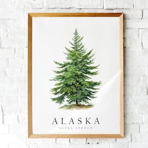 Sitka Spruce, the State Tree of Alaska, Poster Print, Wall Décor - Etsy