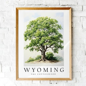 wyoming state tree coloring pages