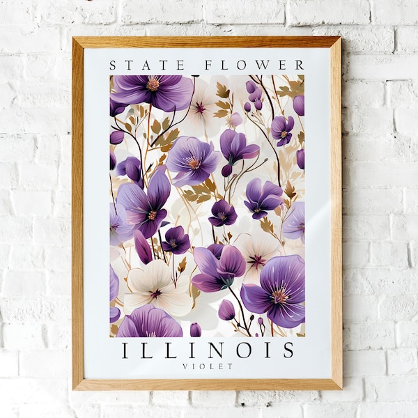 Illinois Poster - Etsy
