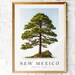 Piñon Pine, the State Tree of New Mexico, Poster Print, Wall Décor - Etsy