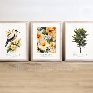 Hawaii State Symbols Poster Prints, Nene, Candlenut, Hibiscus Set - Etsy