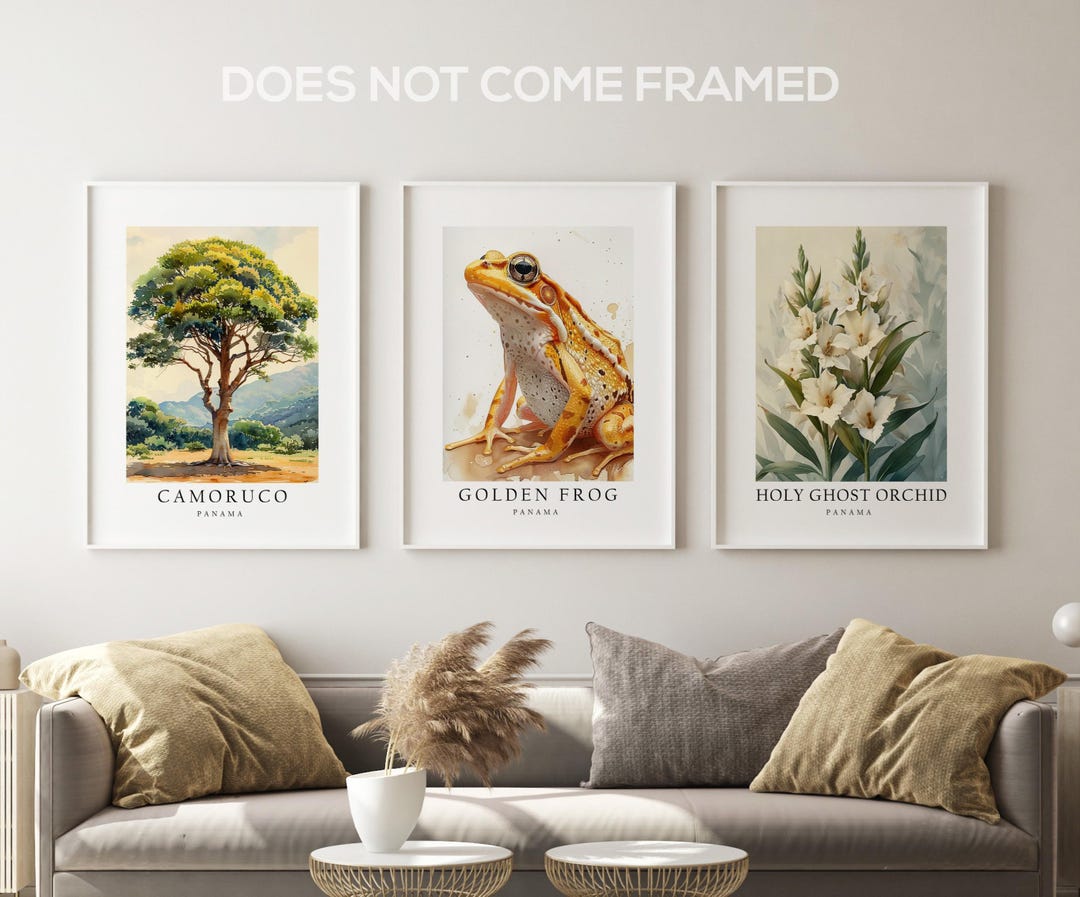 Panama National Symbols, the Golden Frog, Holy Ghost Orchid Flower ...