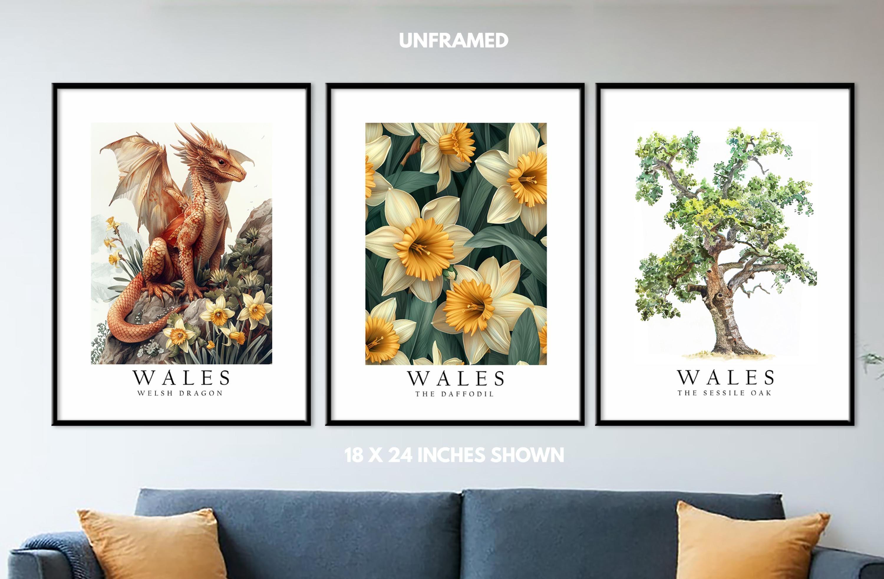 Welsh National Symbols Poster Prints, Dragon, Daffodil, Oak, Set of 3 ...