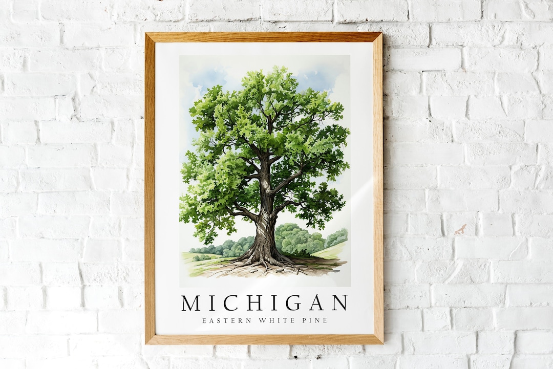 Eastern White Pine, the State Tree of Michigan, Poster Print, Wall ...