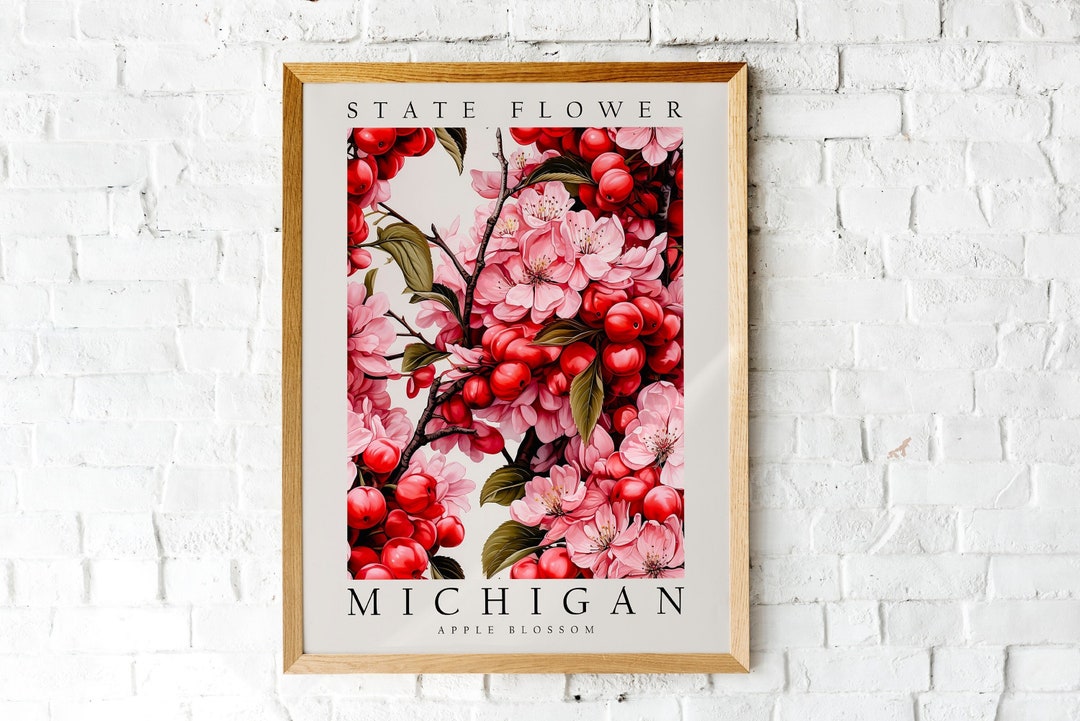 Apple Blossom, the State Flower of Michigan, Poster Print, Wall Décor ...