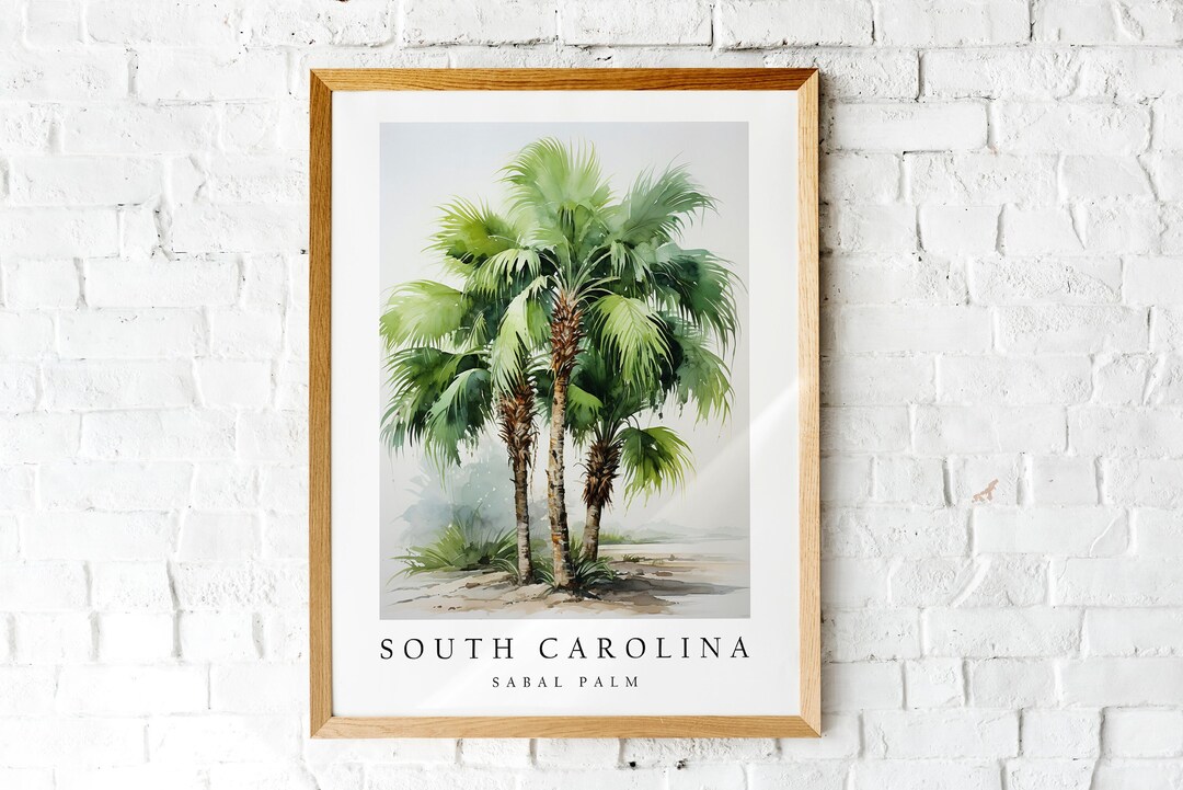 Sabal Palm, the State Tree of South Carolina, Poster Print, Wall Décor ...