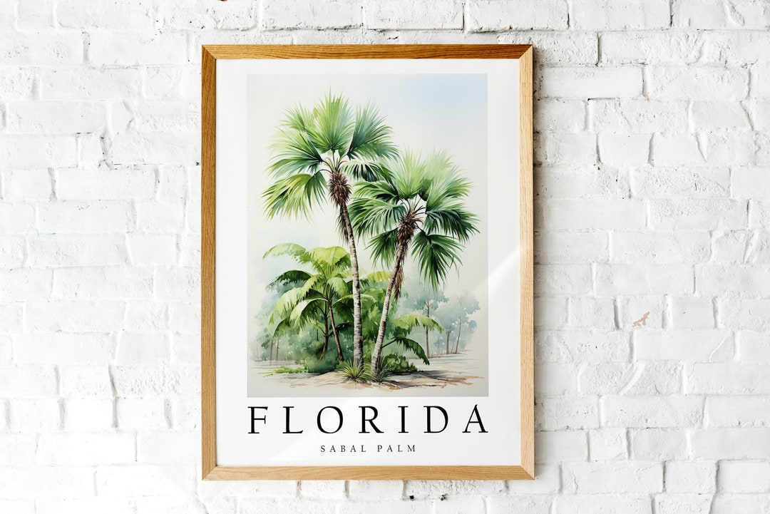 Sabal Palm, the State Tree of Florida, Poster Print, Wall Décor - Etsy