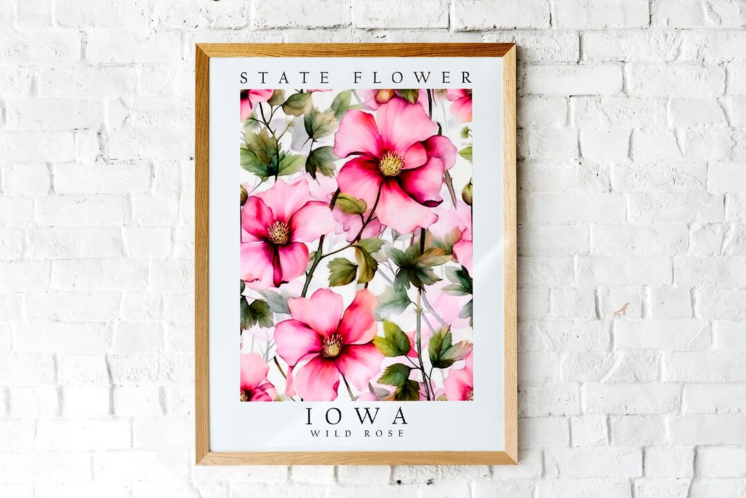Wild Rose, Iowa State Flower, Poster Print, Wall Décor - Etsy