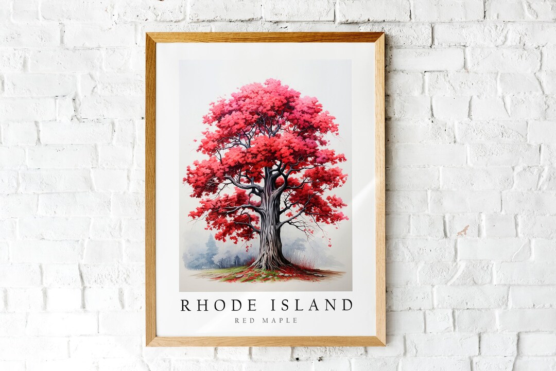 Red Maple, the State Tree of Rhode Island, Poster Print, Wall Décor - Etsy