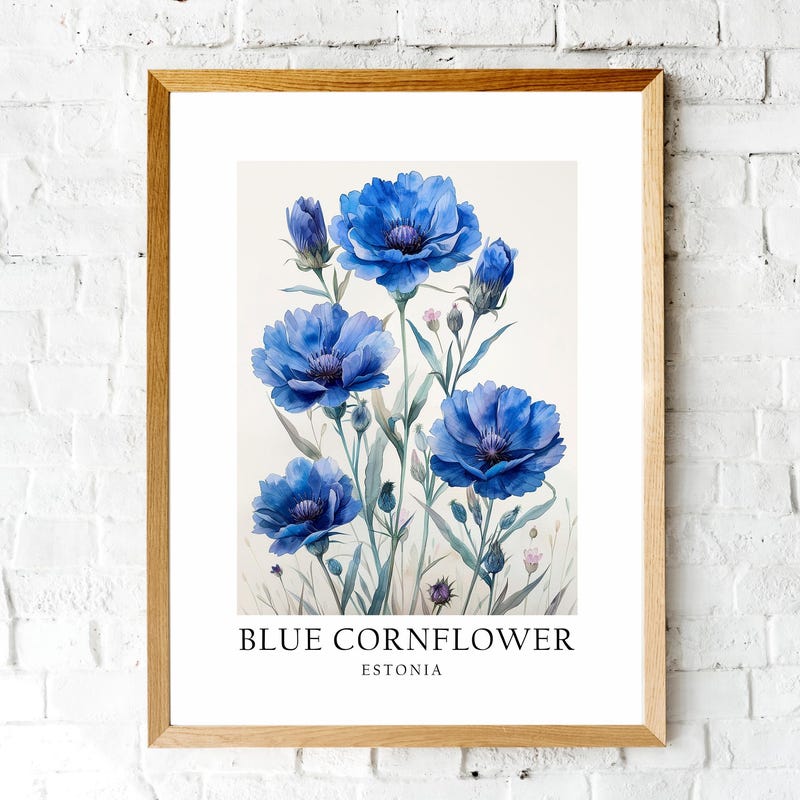 Blue Cornflower - Etsy