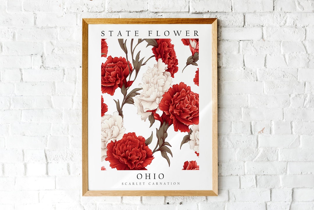 Scarlet Carnation, Ohio State Flower, Poster Print, Wall Décor - Etsy