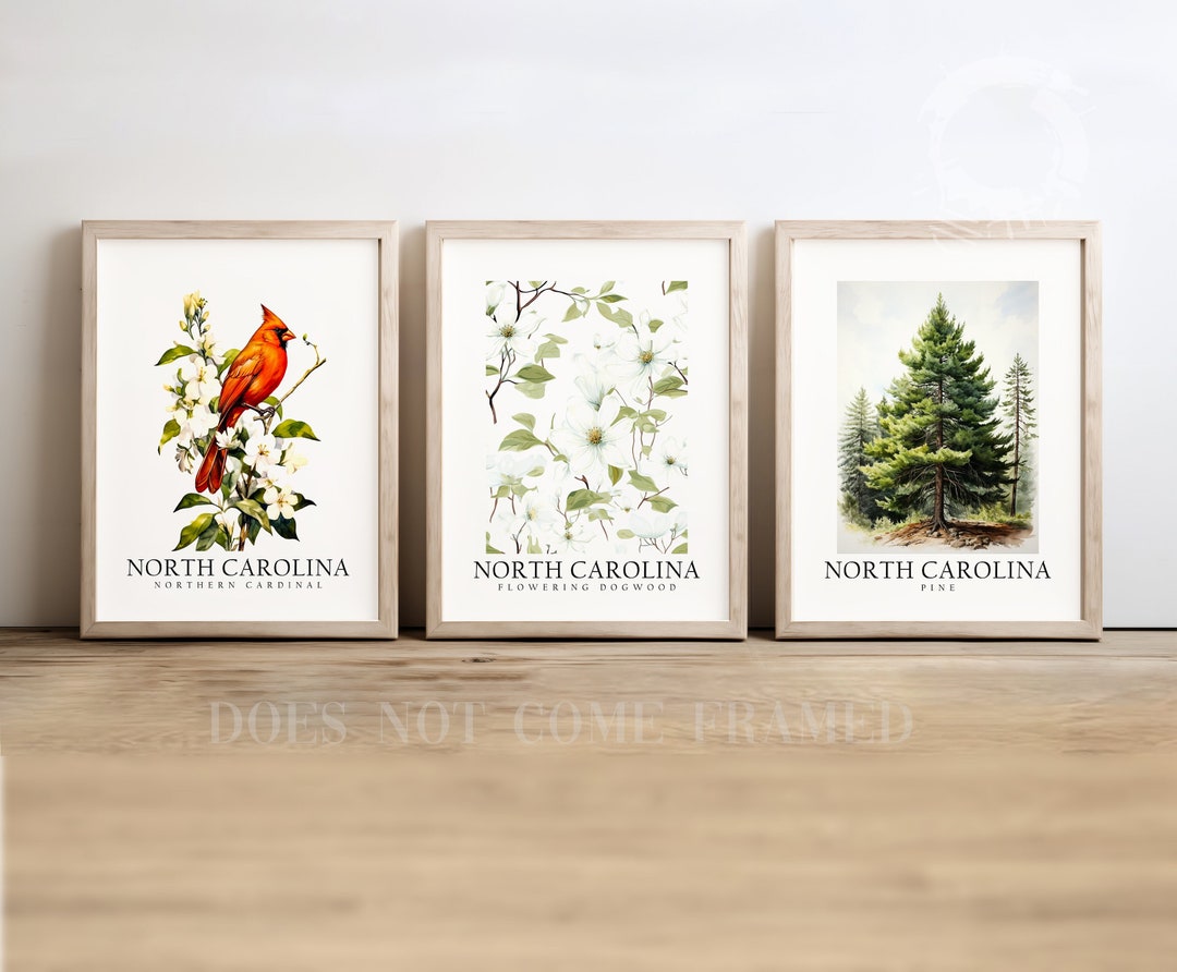 North Carolina State Bird Northern Cardinal, State Tree Pine, State ...