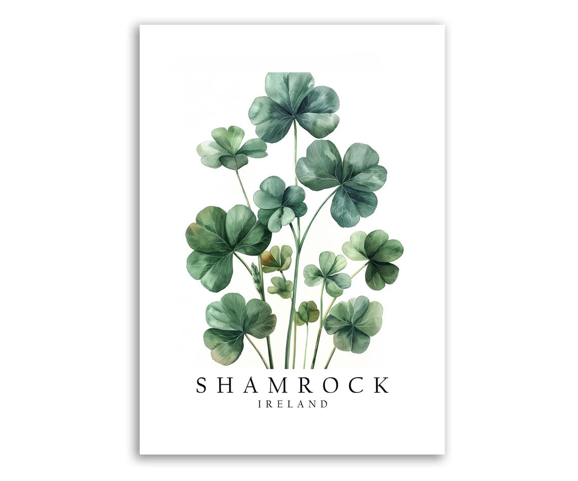 Shamrock, Ireland National Flower, Poster Print, Wall Home Décor - Etsy