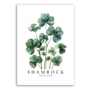 Shamrock, Ireland National Flower, Poster Print, Wall Home Décor - Etsy
