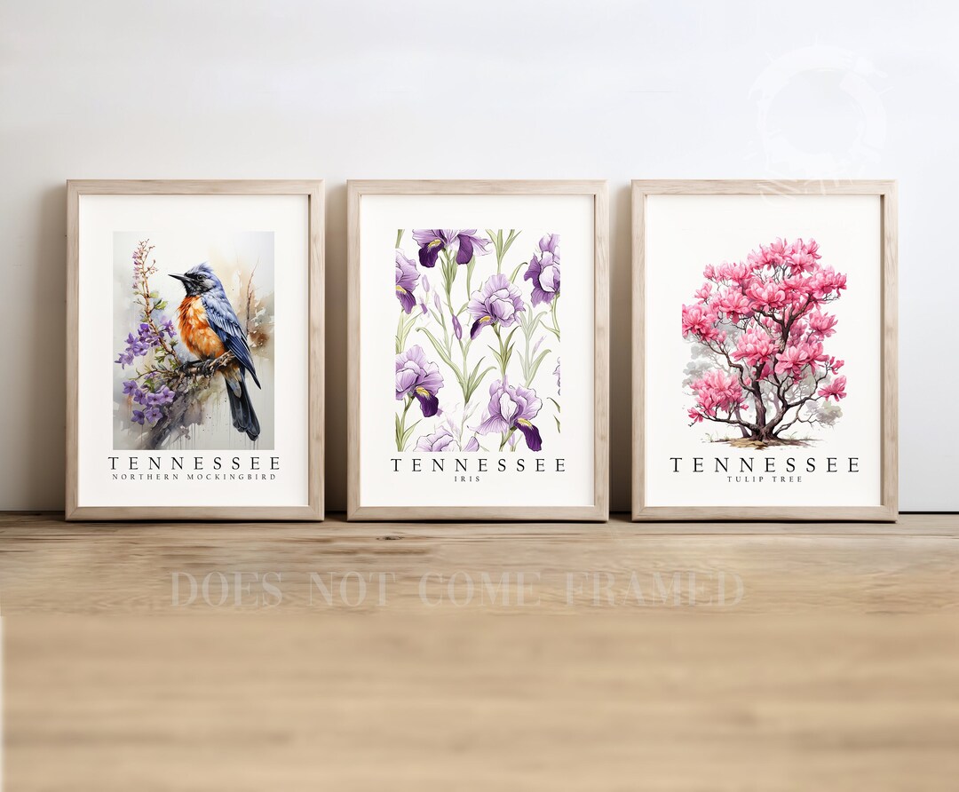 Tennessee State Bird Northern Mockingbird, State Tree Tulip Tree, State ...