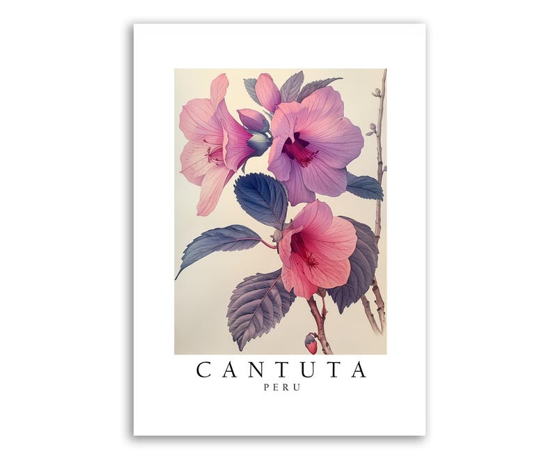 Cantuta, Peru National Flower, Poster Print, Wall Home Décor - Etsy