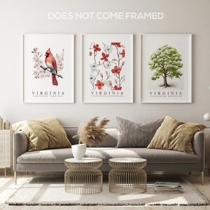 Virginia State Bird Northern Cardinal, State Tree Flowering Dogwood ...