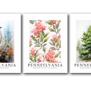 Pennsylvania State Bird Ruffed Grouse, State Tree Eastern Hemlock ...