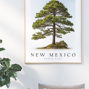 Piñon Pine, the State Tree of New Mexico, Poster Print, Wall Décor - Etsy